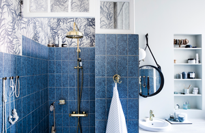 Tradition Polished Brass PVD Shower System [https://damixa.com]